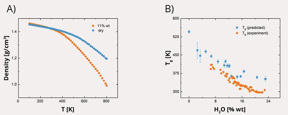 Prediction of moisture adsorption and effects on amorphous amylose ...