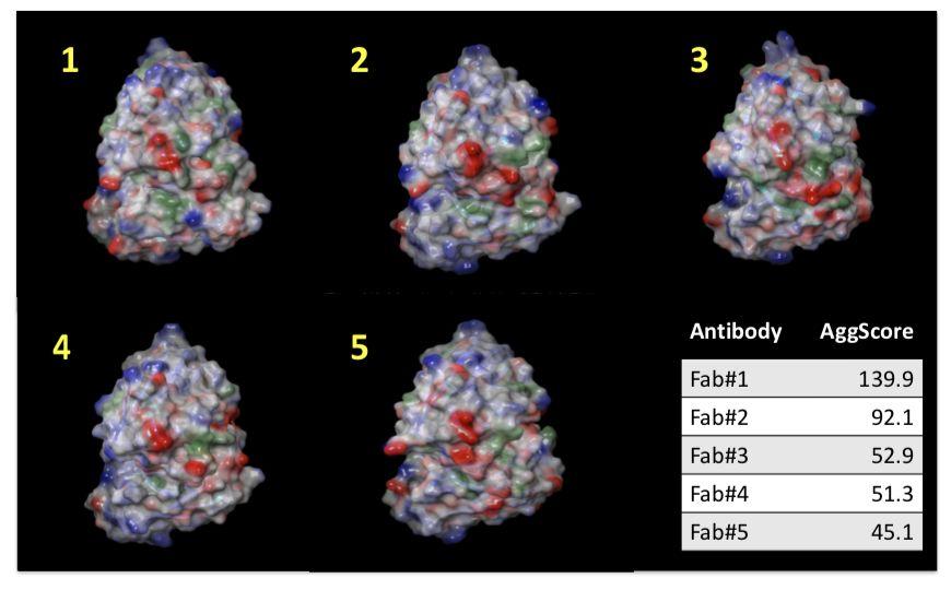 Aggregation prediction with protein surface analyzer - Schrödinger