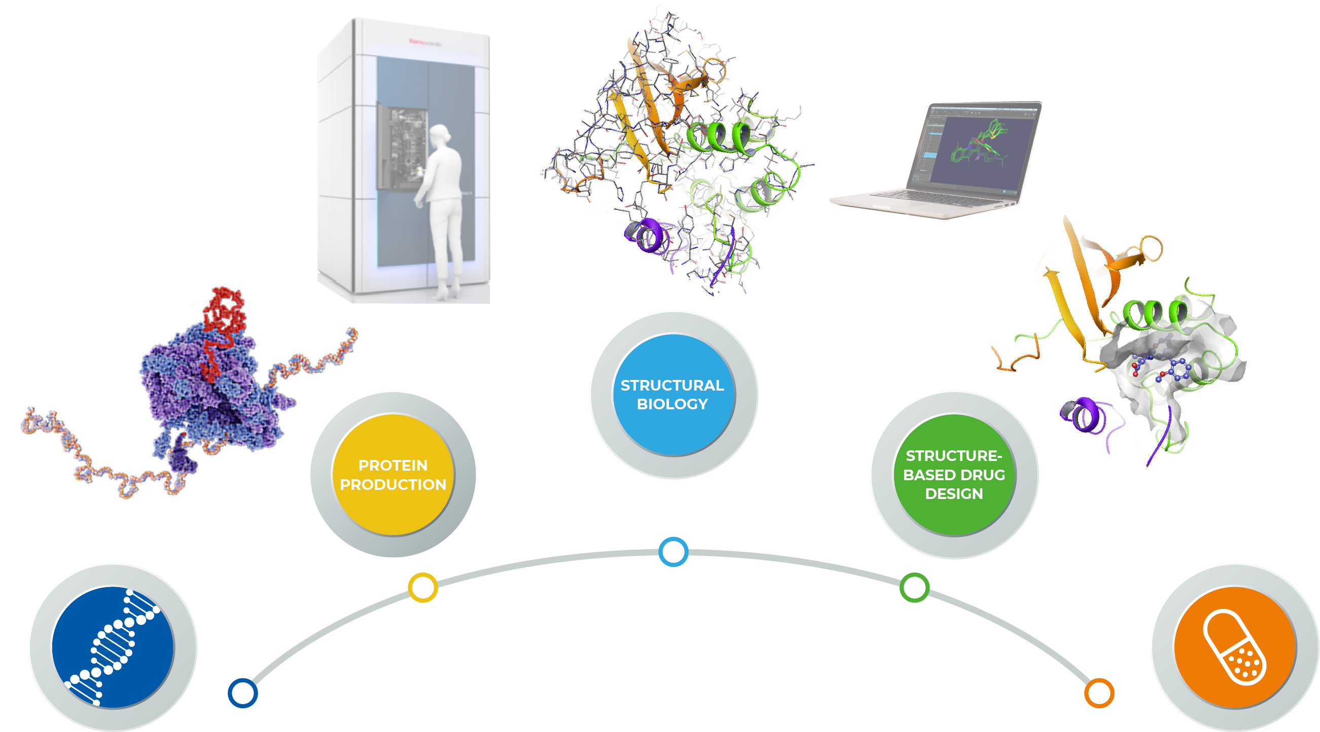 An expedited gene-to-drug approach using thermo scientific cryo-em and ...