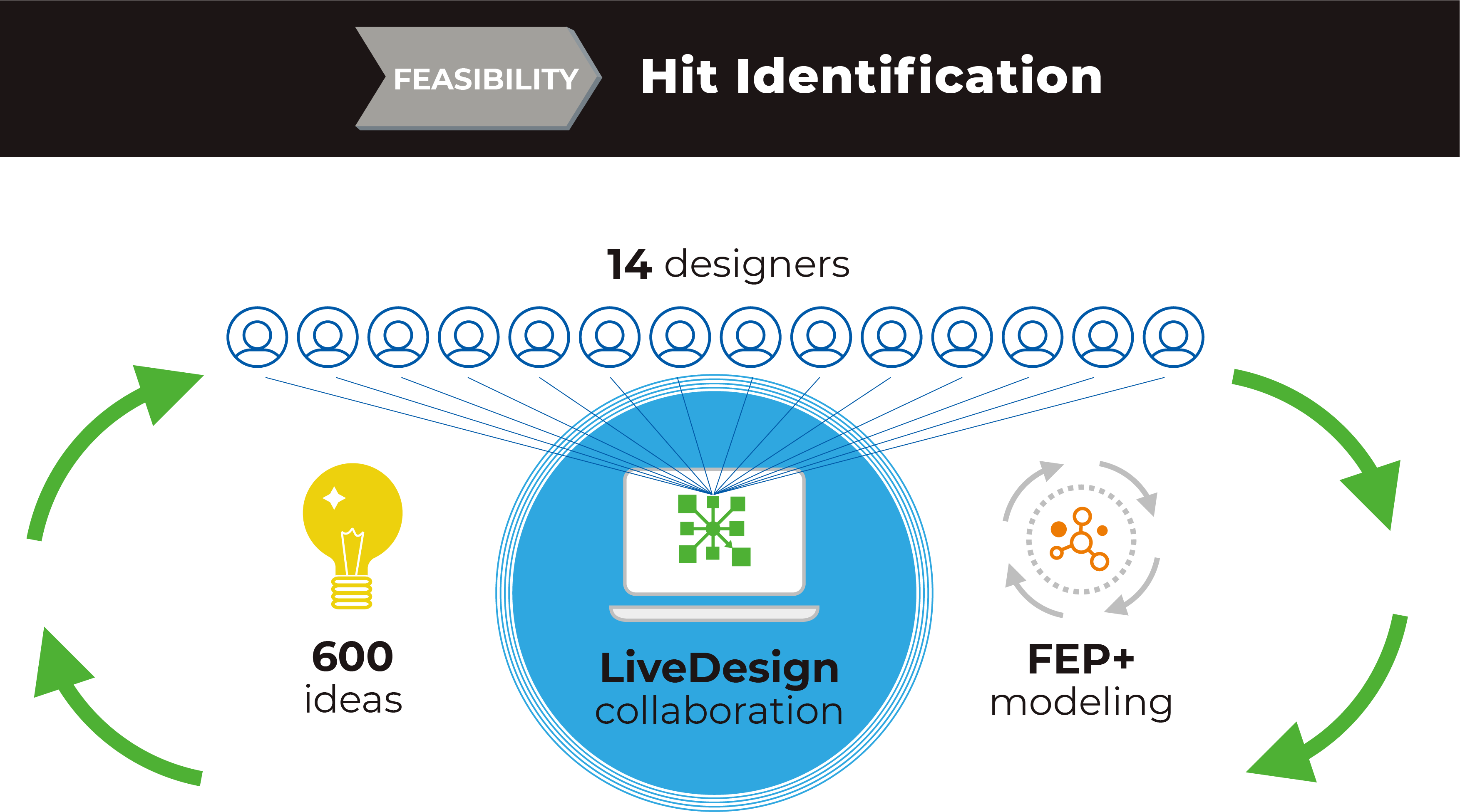 Stories from drug discovery: Modeling strategies in the pursuit of ...