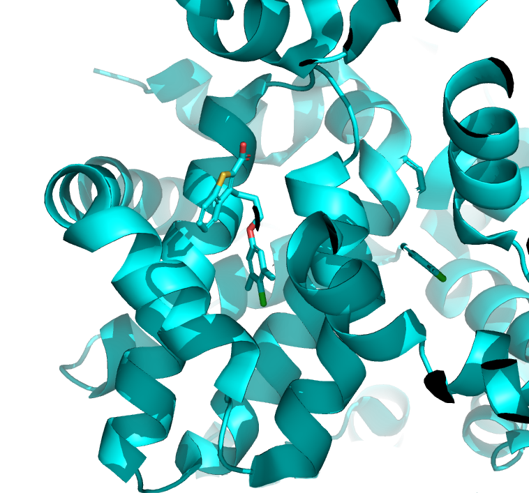 FEP+ Protocol Builder - Schrödinger