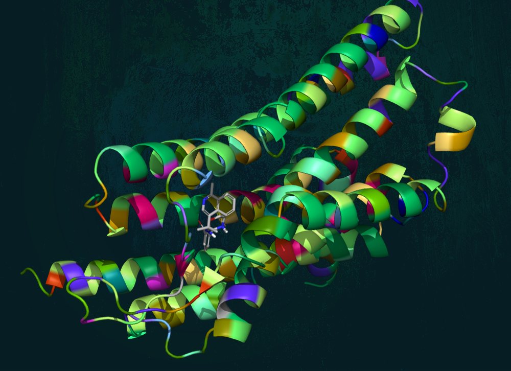 Maestro Viewer - Schrödinger