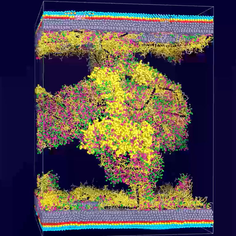 Computational Platform for Molecular Discovery & Design - Schrödinger