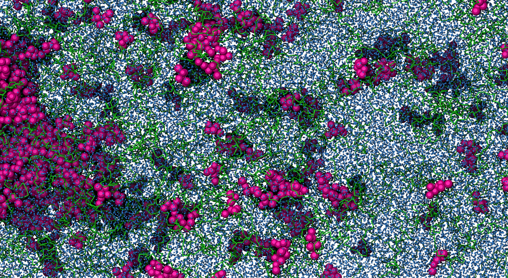 難溶性薬物の放出メカニズムを解明する – ASD研究の新たなアプローチModelling amorphous solid dispersion ...