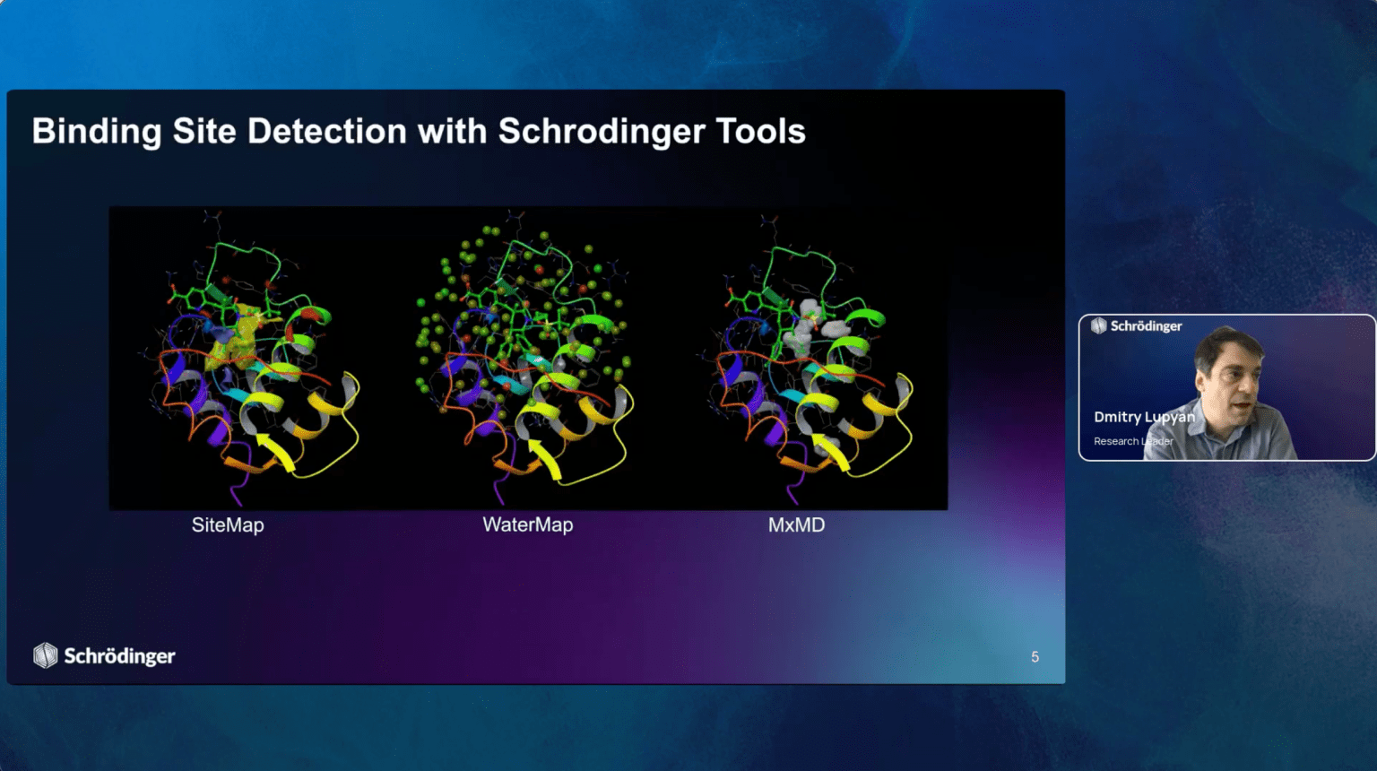 In silico cryptic binding site detection and prioritization - Schrödinger