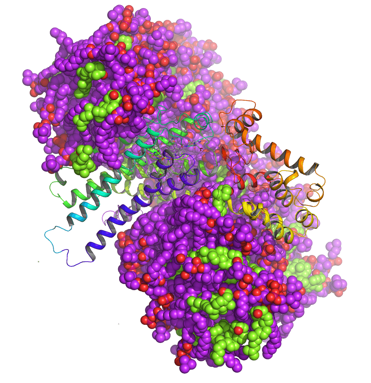 MS Complex Bilayer Builder | Schrödinger